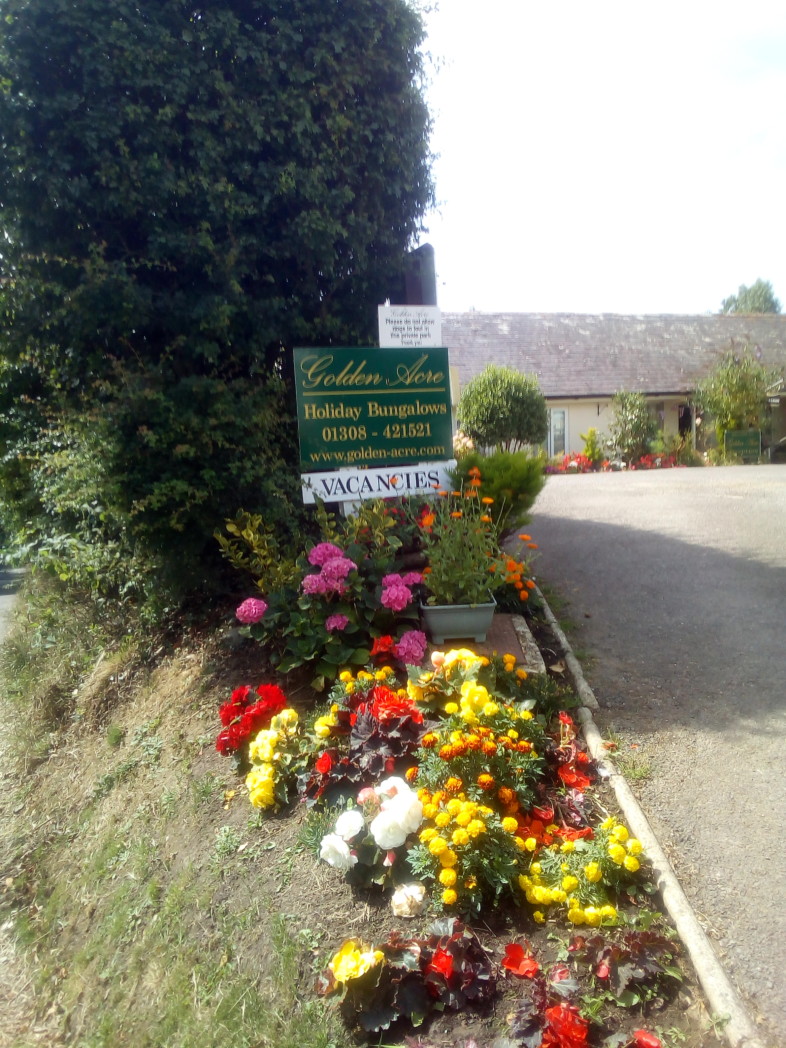 The Park is in Full Bloom – Golden Acre Jurassic Coastal Lodges